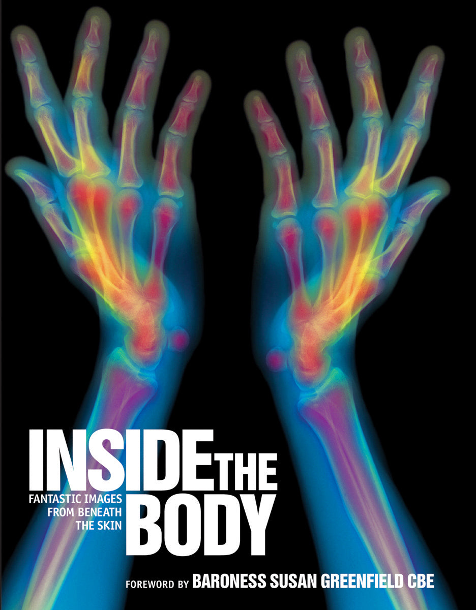 Inside the Body – Rivendell Books